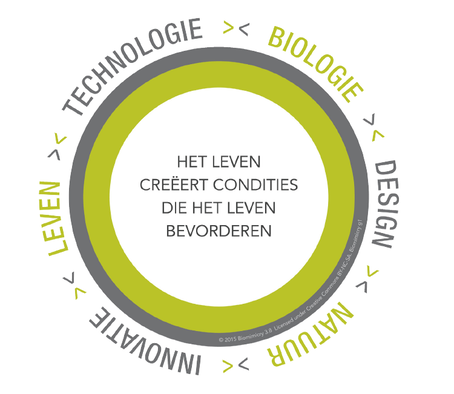 Wat we doen